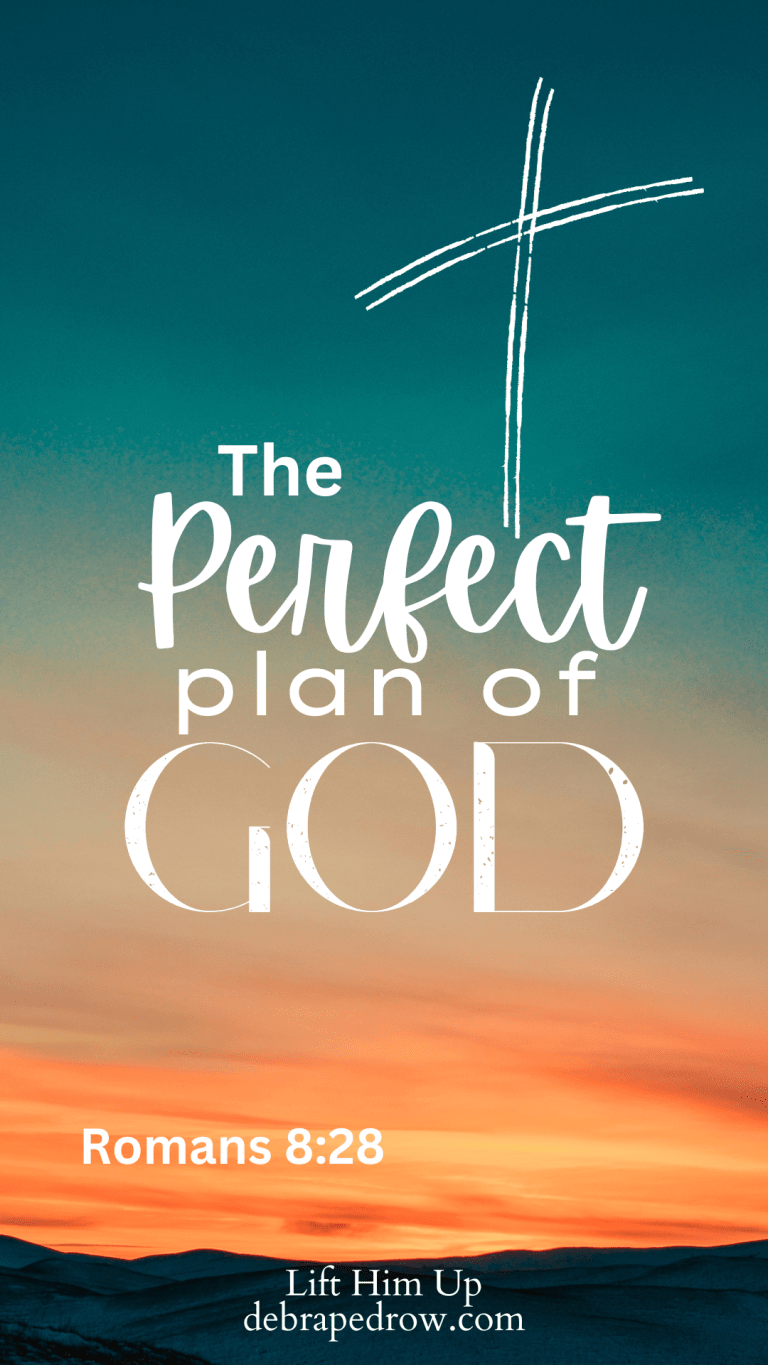 The Perfect Plan Of God | Lift Him Up